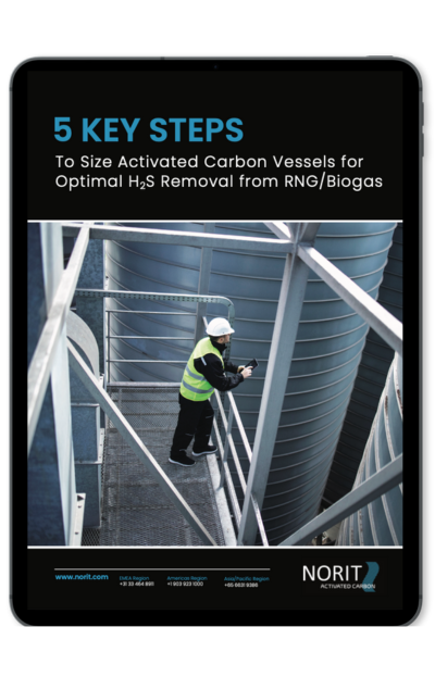 Hydrogen sulfide removal from (bio)gas by NORIT activated carbon